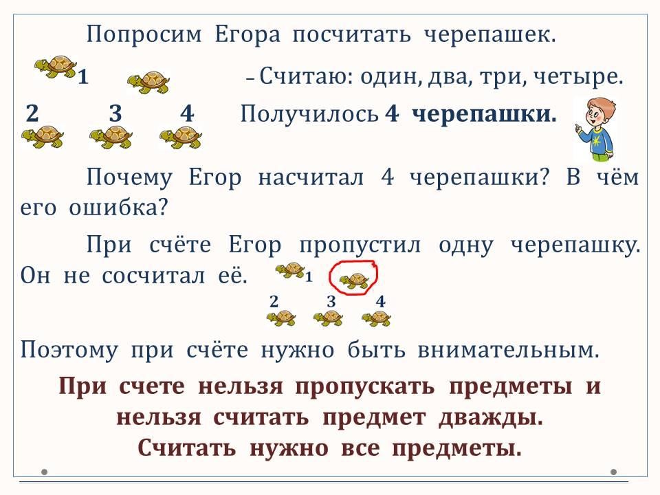 Счёт предметов. Количественный счёт. | Wikids